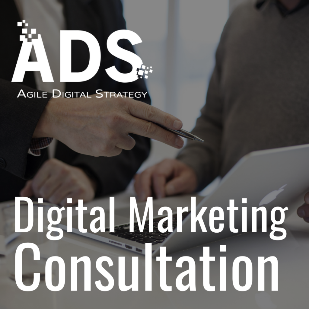 Digital Marketing Consultation 1:1 - Agile Digital Strategy